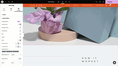 Elementor Reviews | Read Customer Service Reviews of elementor.com