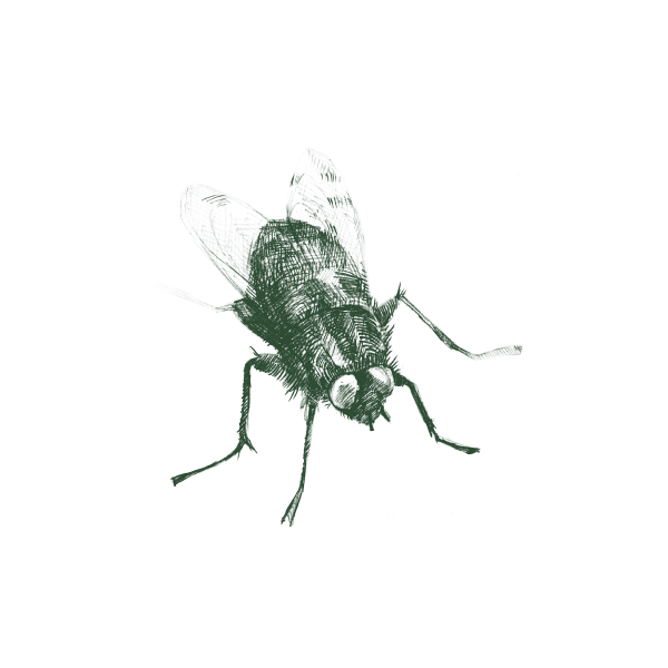 Aptive Pest Control Reviews | Read Customer Service Reviews of www ...