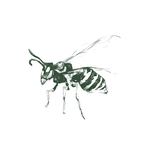 Aptive Pest Control Reviews | Read Customer Service Reviews of www ...