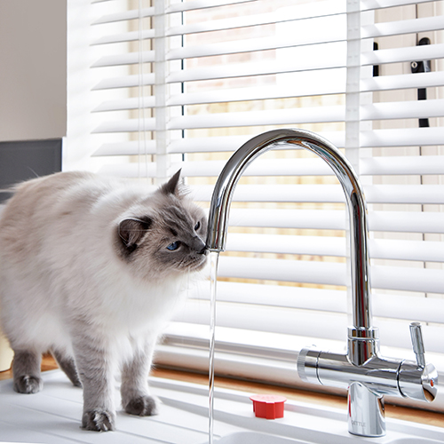 QETTLE Reviews | Read Customer Service Reviews of www.qettle.com