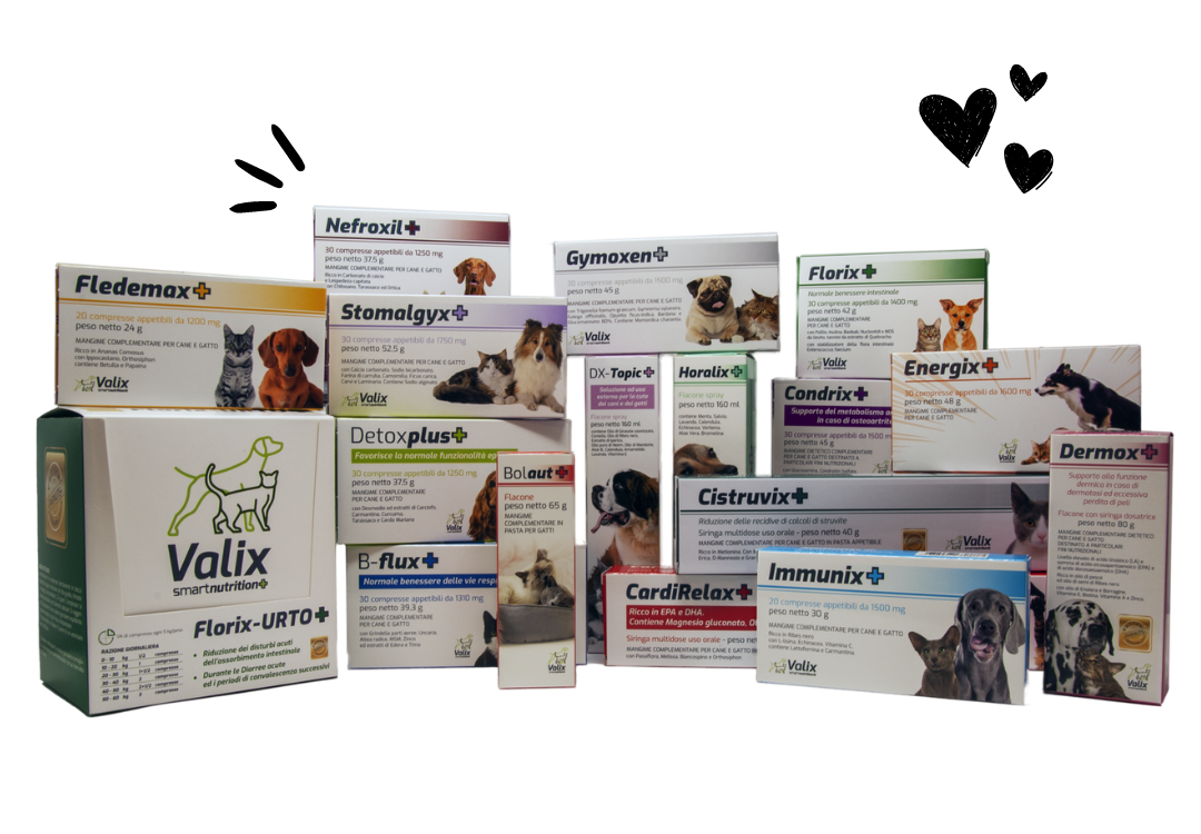 Valix Nutrition+ | Leggi le recensioni dei servizi di www.valixnutrition.it