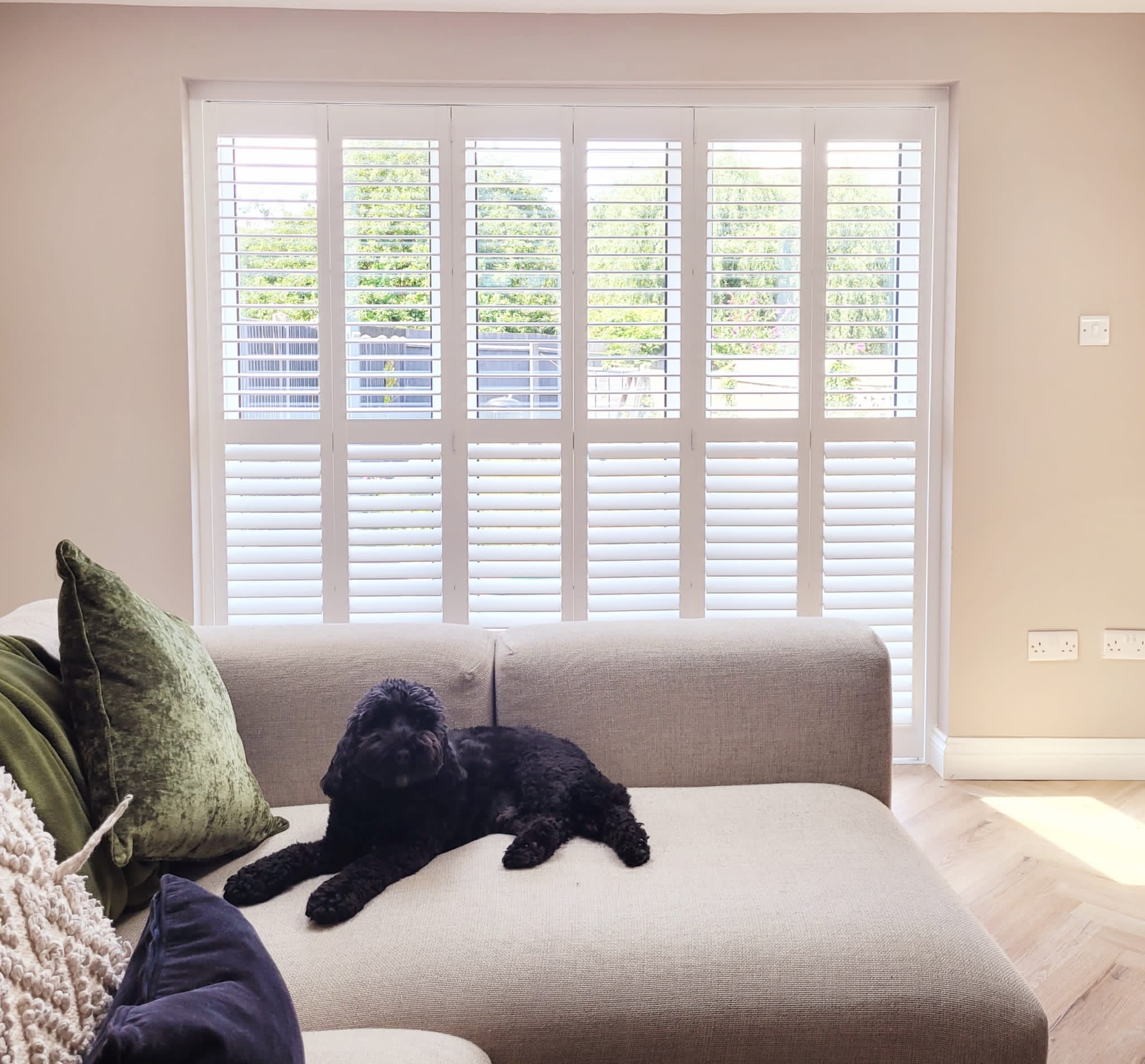 Hello Shutters Reviews | Read Customer Service Reviews of helloshutters ...